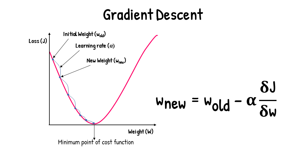 Understanding Gradient Descent: A Key to Optimizing Machine Learning ...